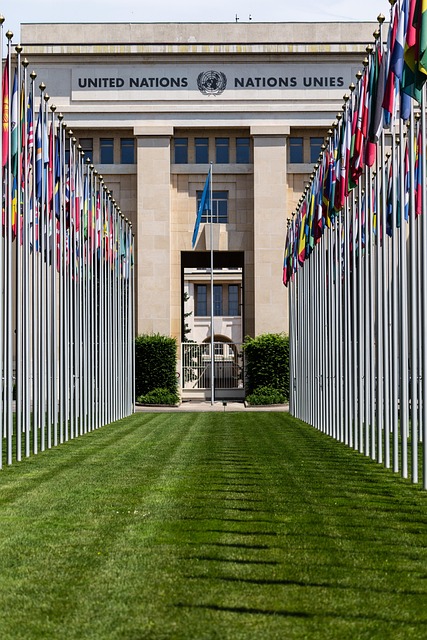 Uno Flagge Genf - Kostenloses Foto auf Pixabay - Pixabay