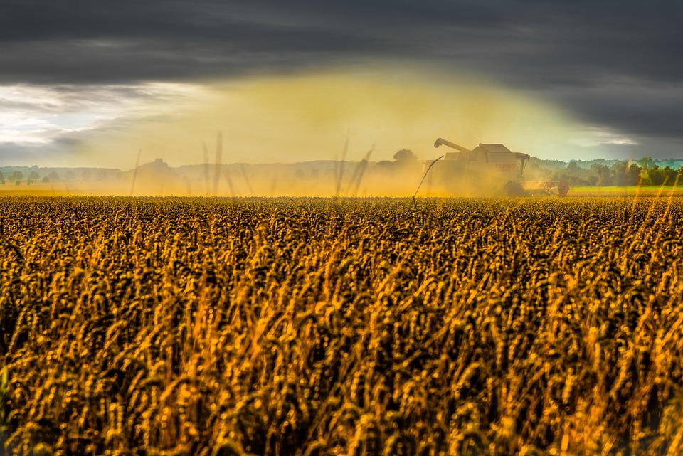 Landwirtschaft Ernte Getreidefeld - Kostenloses Foto auf Pixabay - Pixabay