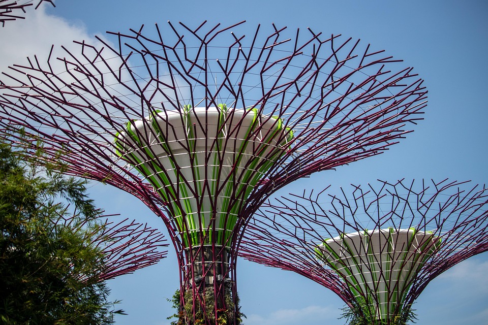 Gardens By The Bay Supertree Grove - Free photo on Pixabay