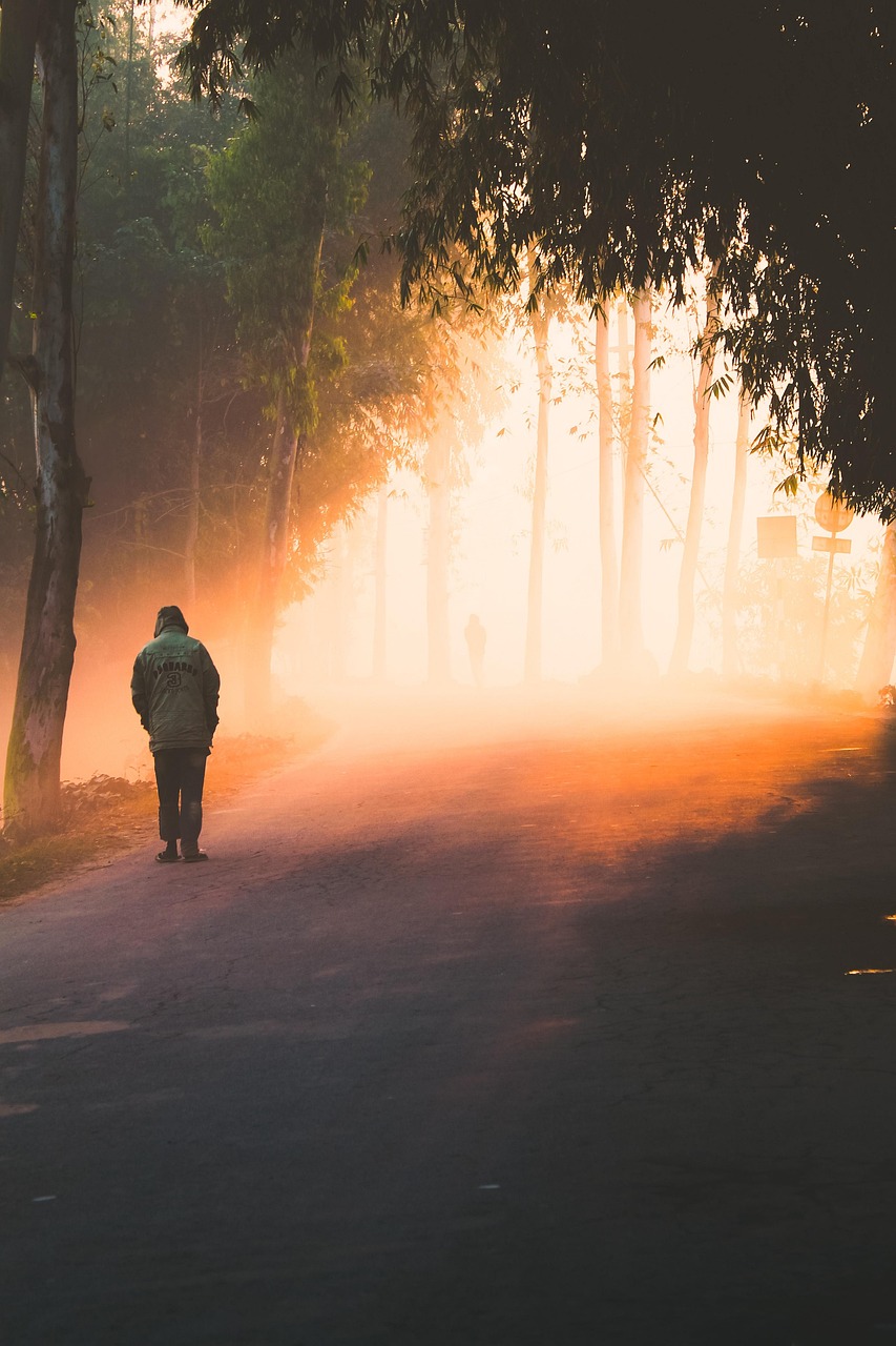 Bangladesh Winter Dawn - Free photo on Pixabay - Pixabay