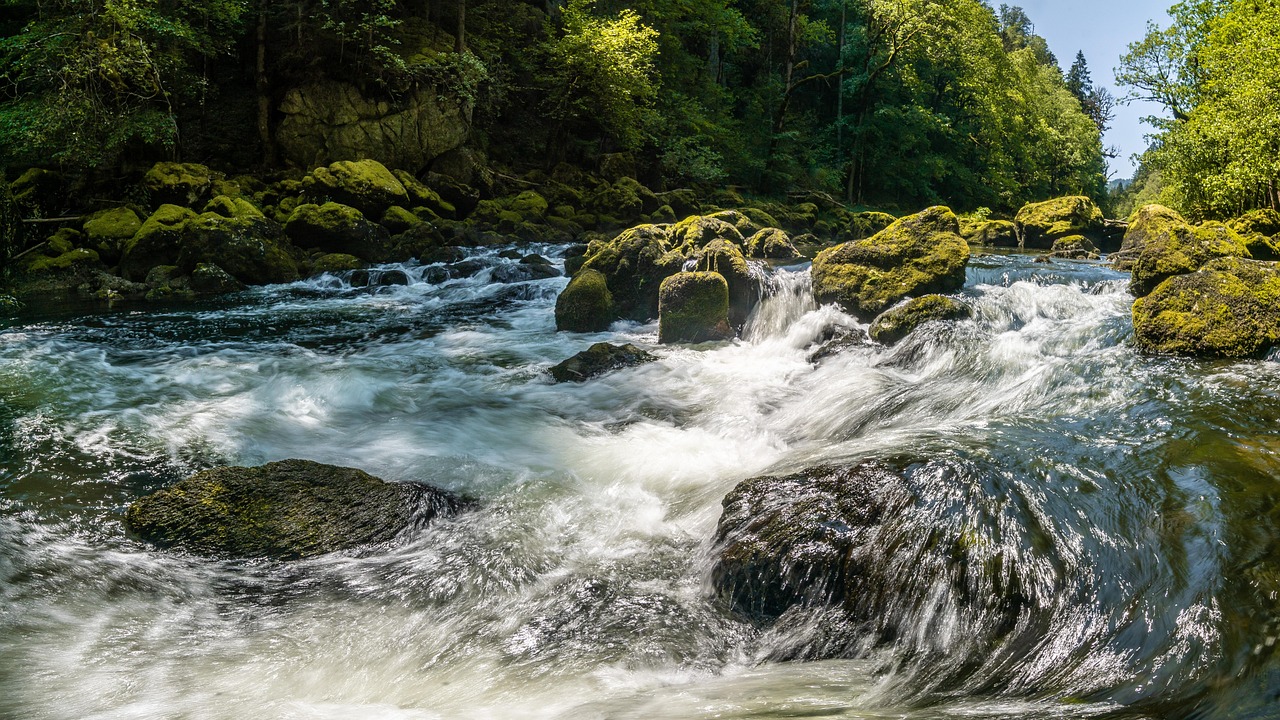 Fluss Stromschnellen Sommer - Kostenloses Foto auf Pixabay - Pixabay