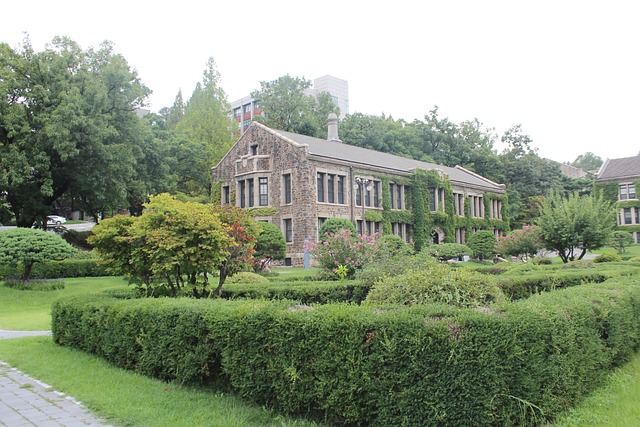 Yonsei University Sin Chon Old - Free photo on Pixabay - Pixabay