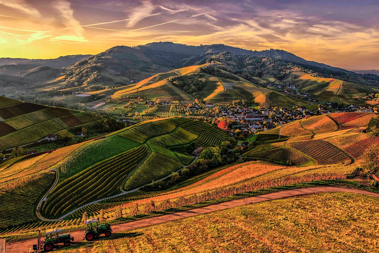 Natureza Floresta Panorama Pôr Do - Foto gratuita no Pixabay - Pixabay