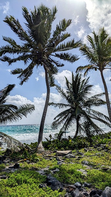 Mexique Cancún Mer - Photo gratuite sur Pixabay - Pixabay