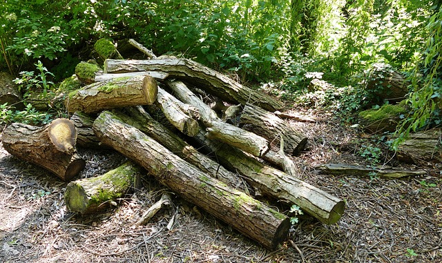 Wood Pile Logs Tree - Free photo on Pixabay - Pixabay