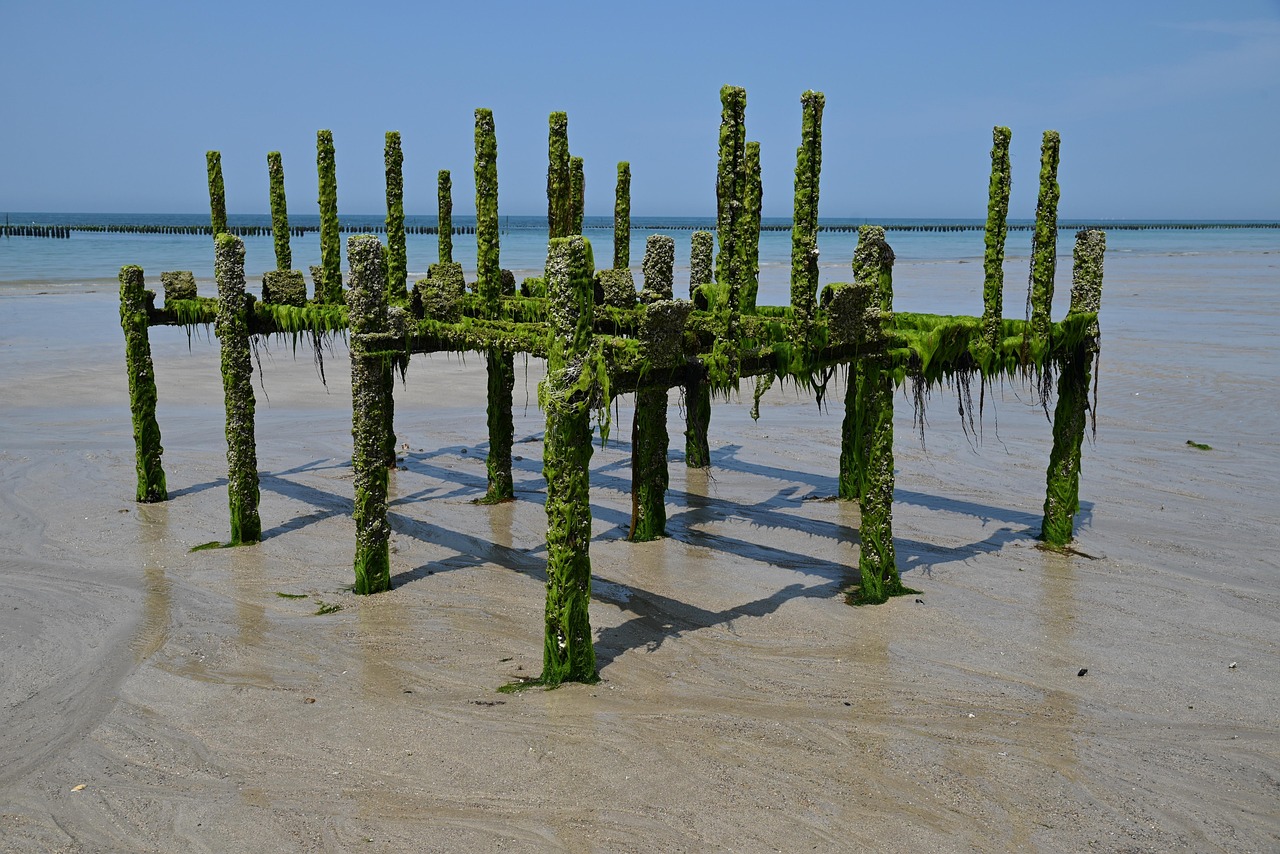 Bouchot Support Breeding Wooden - Free photo on Pixabay - Pixabay