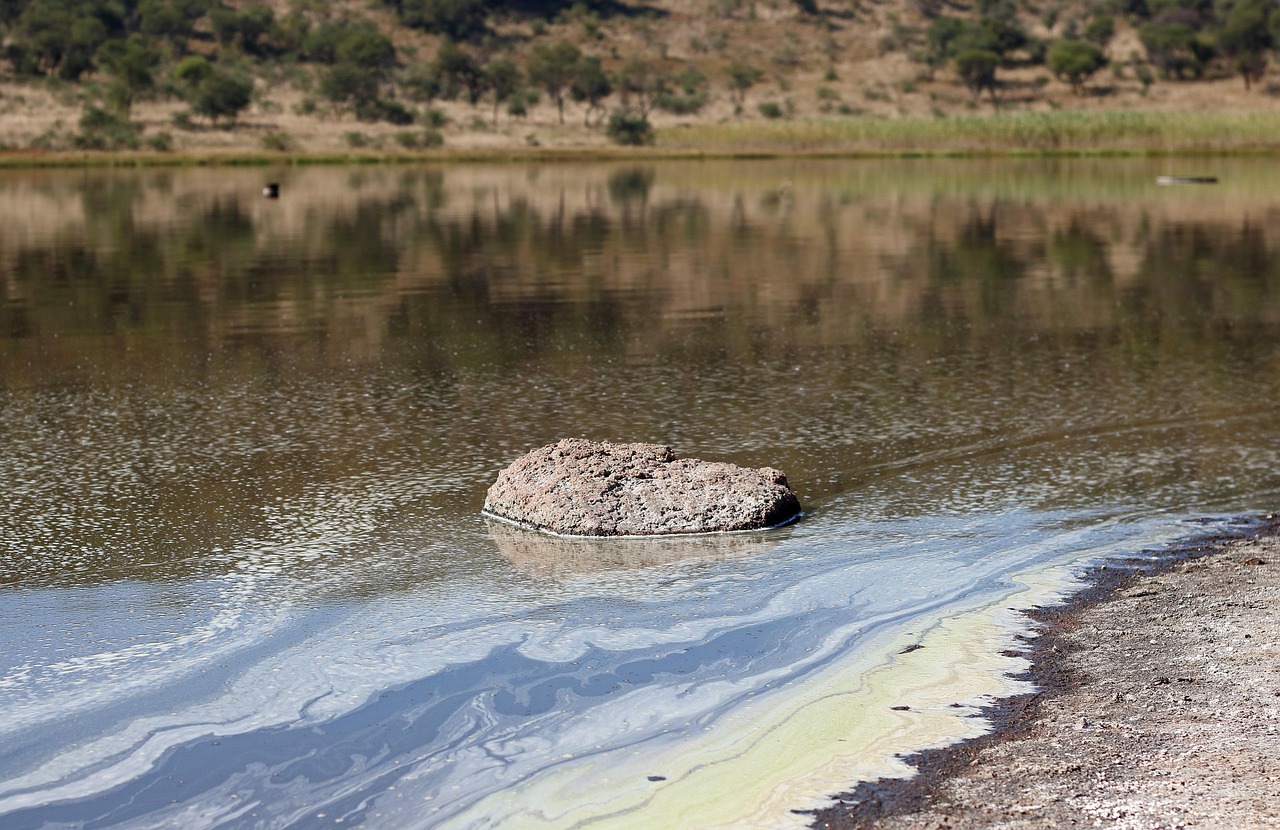Edge Of Mineral Lake Foam Sediment - Free photo on Pixabay - Pixabay