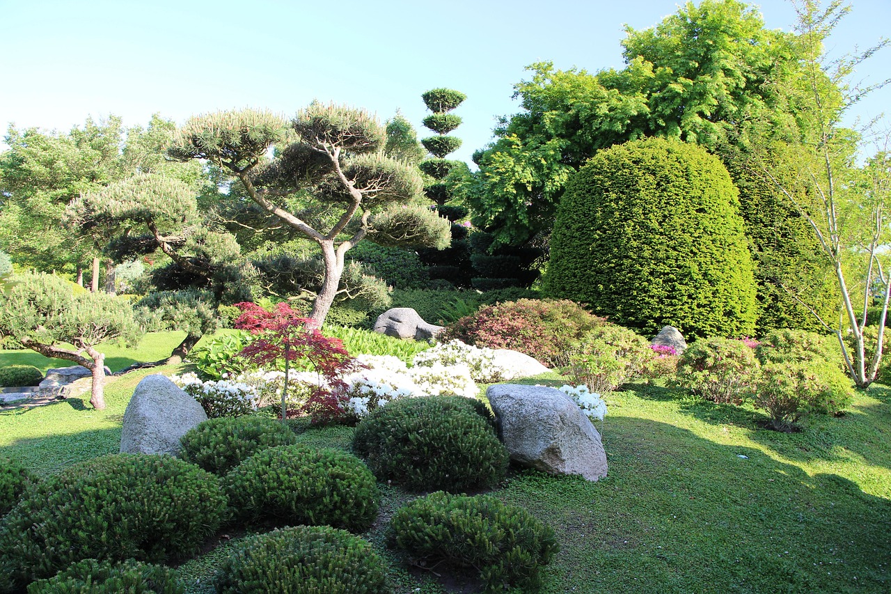 La Nature Jardin Le Parc - Photo gratuite sur Pixabay - Pixabay