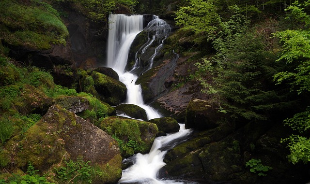 Waterfall Water Landscape - Free photo on Pixabay