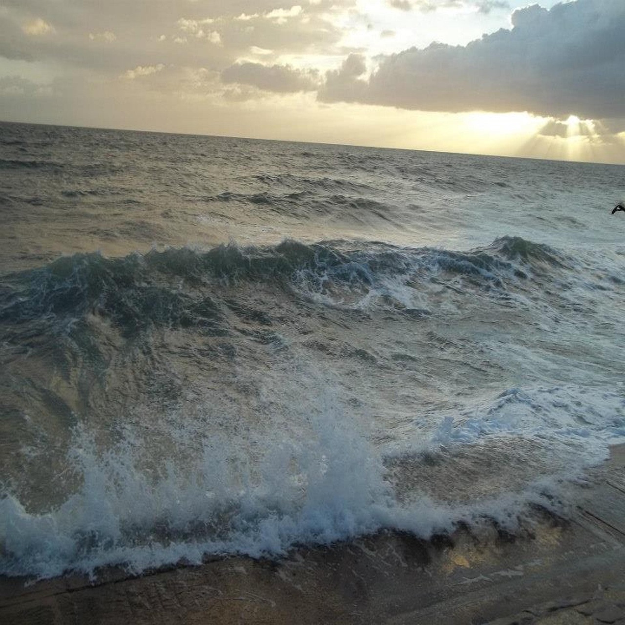 Waves Beach Sea - Free photo on Pixabay - Pixabay