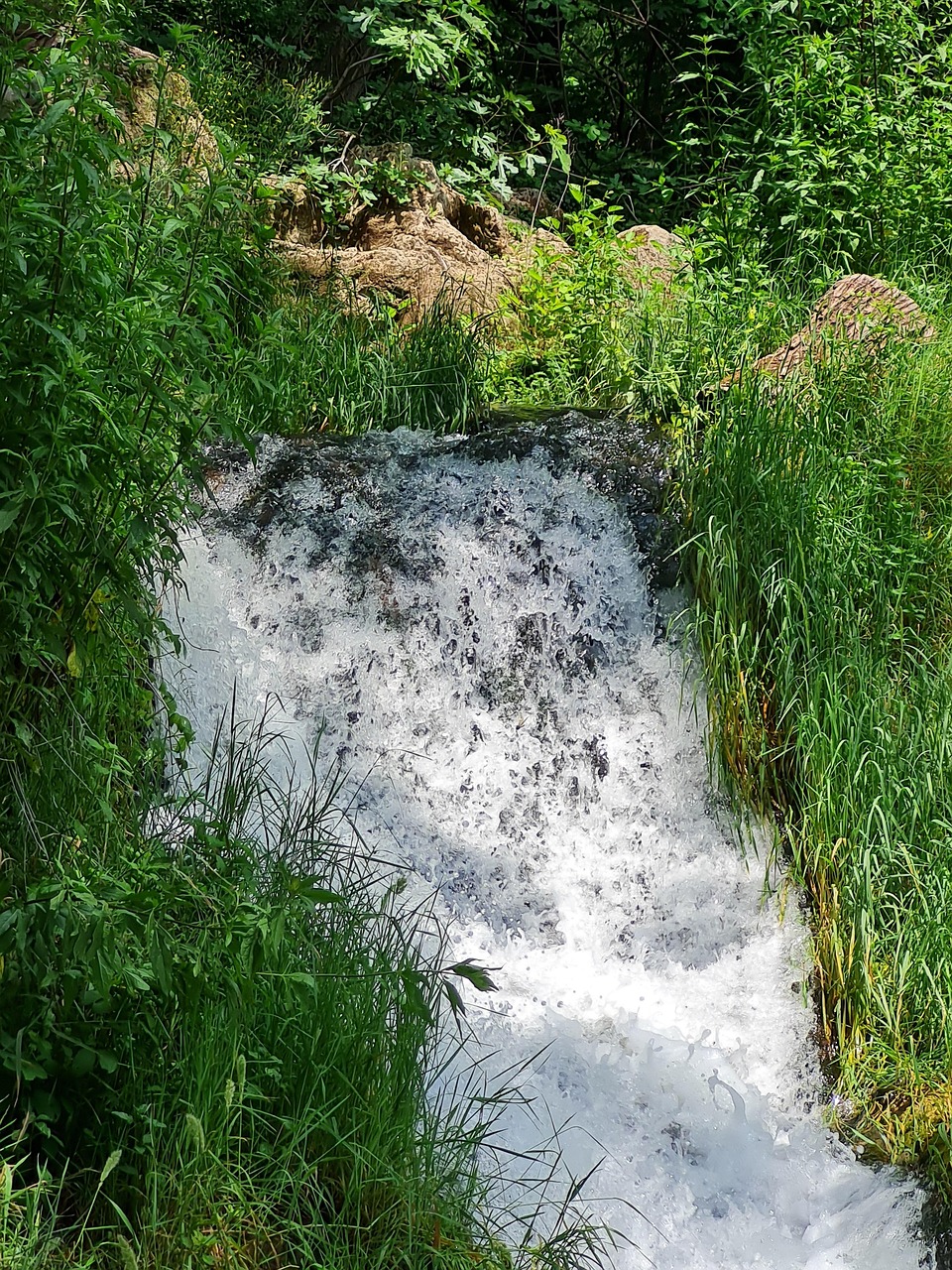 Cascade Nature Forêt - Photo gratuite sur Pixabay - Pixabay