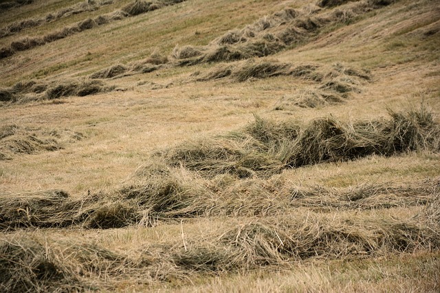 Hay To Lawn The Level Of - Free photo on Pixabay