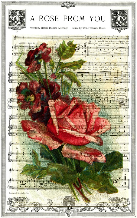 Rose La Musique Partition - Image gratuite sur Pixabay - Pixabay