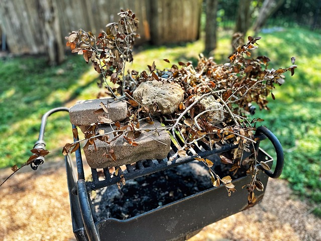 Grill Rocks Leaves - Free photo on Pixabay - Pixabay
