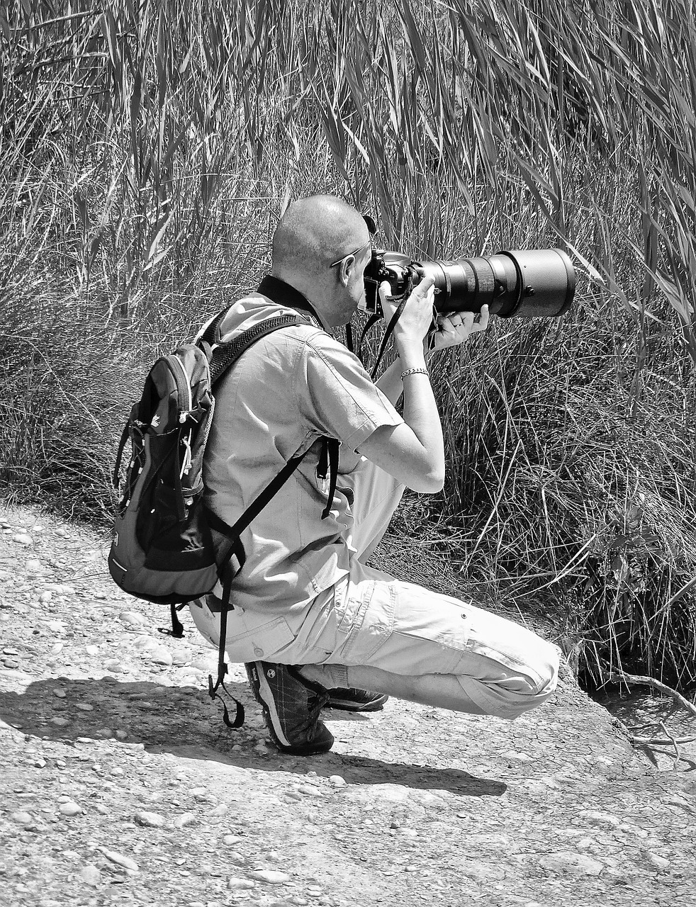 Fotograf Schnappen Fotos - Kostenloses Foto auf Pixabay - Pixabay
