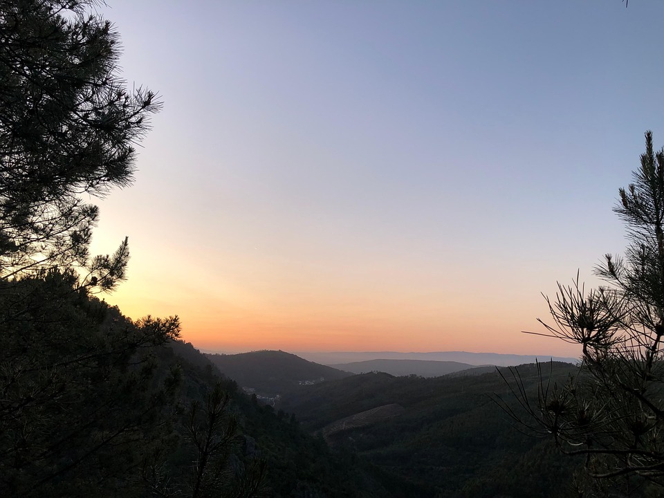 La Nature Portugal Coimbra Centre - Photo gratuite sur Pixabay - Pixabay