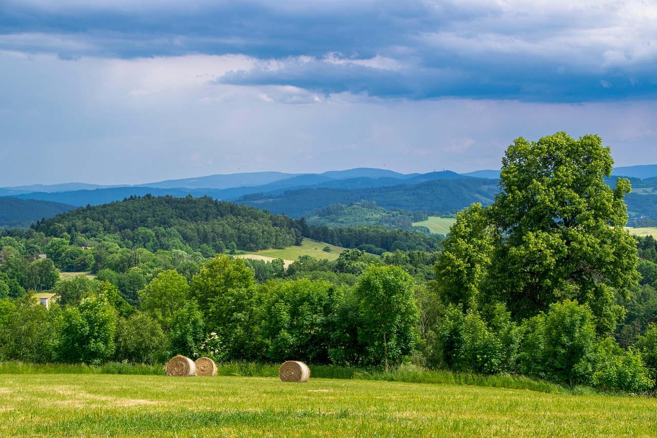 Panorama Country Trees - Free photo on Pixabay - Pixabay