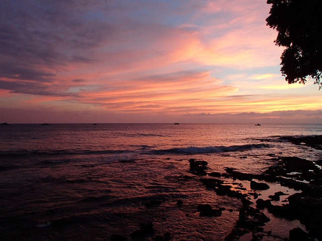 Havaí Oceano - Foto gratuita no Pixabay - Pixabay