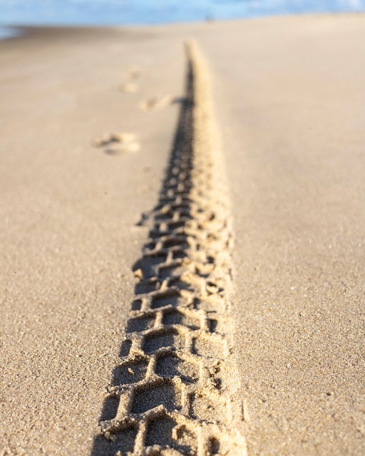 Pfad Signale Sand - Kostenloses Foto auf Pixabay - Pixabay