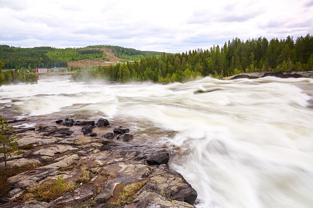 Cascade Rapides Nature - Photo gratuite sur Pixabay - Pixabay