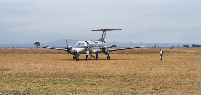 Aircraft Plane Safari - Free photo on Pixabay - Pixabay