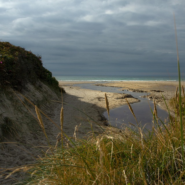 The North Sea Denmark Coast - Free photo on Pixabay - Pixabay