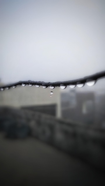 Winter Dew Drop - Free photo on Pixabay - Pixabay