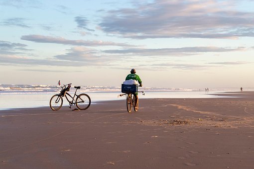 Download Bike, Horse, Cyclist. Royalty-Free Vector Graphic - Pixabay