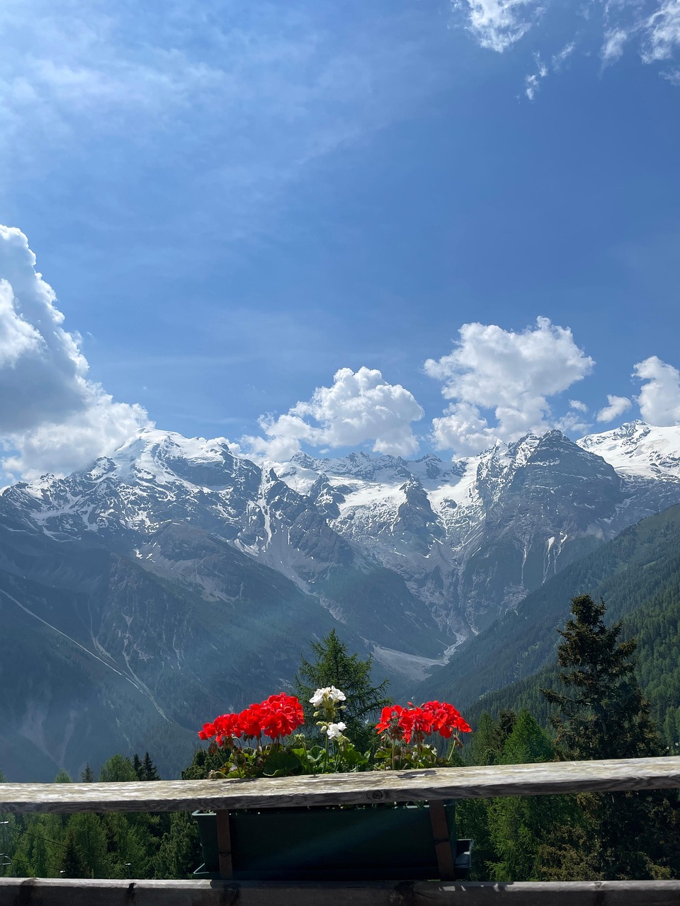 Ortler Tirol Del Sur Val Venosta - Foto gratis en Pixabay - Pixabay