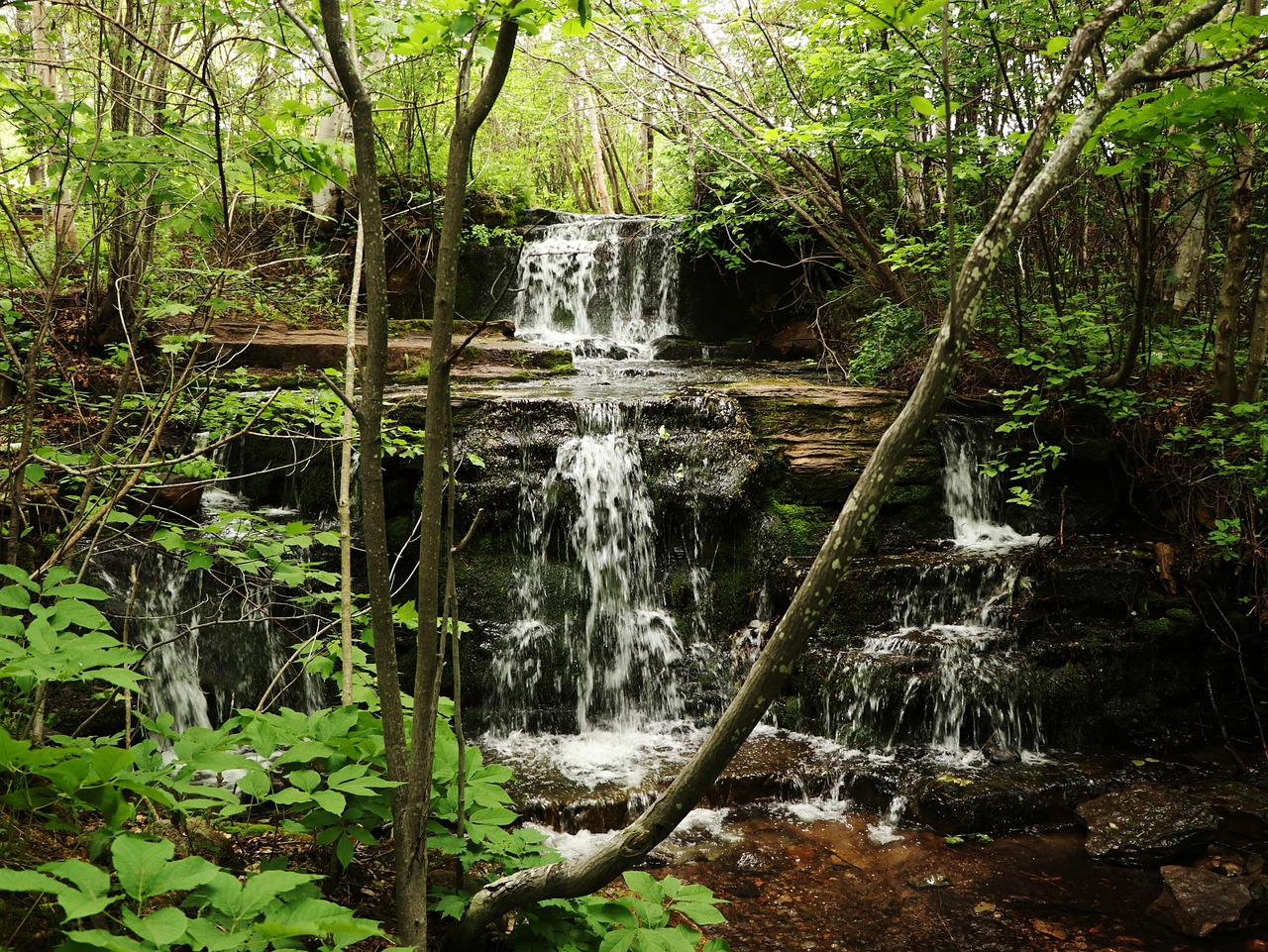 Cascades The Water Nature - Free photo on Pixabay - Pixabay