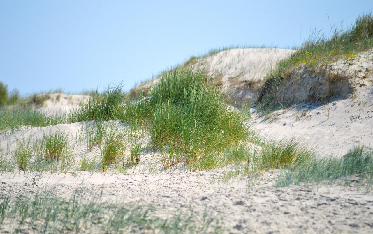 Sand Dunes Beach Coastal - Free photo on Pixabay