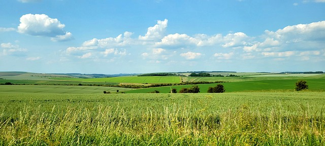 England Nature Country - Free photo on Pixabay - Pixabay