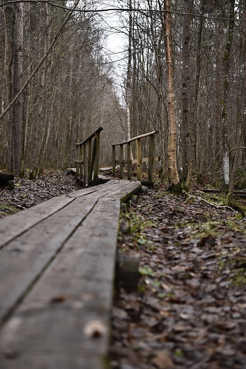 Nature Promenade Sentier De - Photo gratuite sur Pixabay - Pixabay