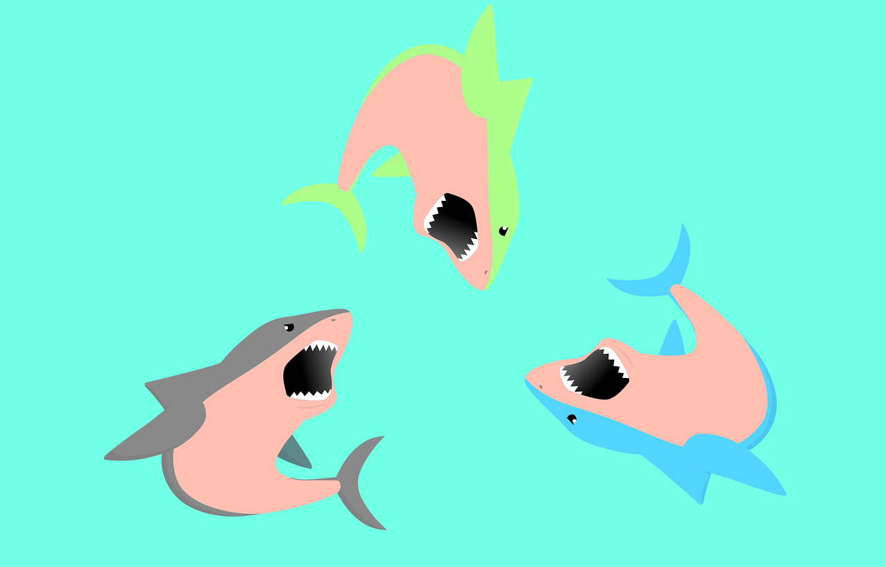 Download Shark, Fish, Ocean. Royalty-Free Vector Graphic - Pixabay