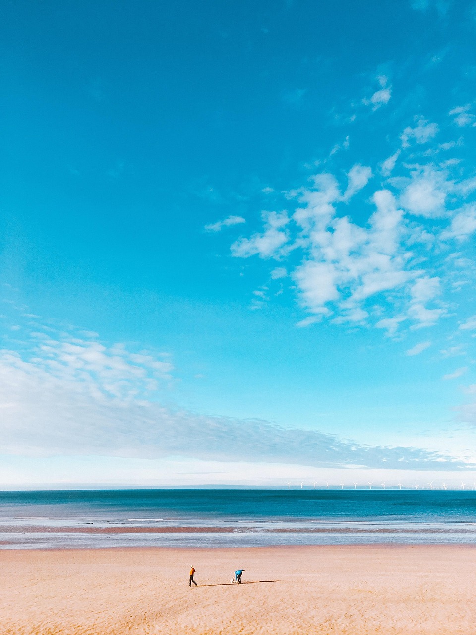 131 beautiful photo results - Pixabay
