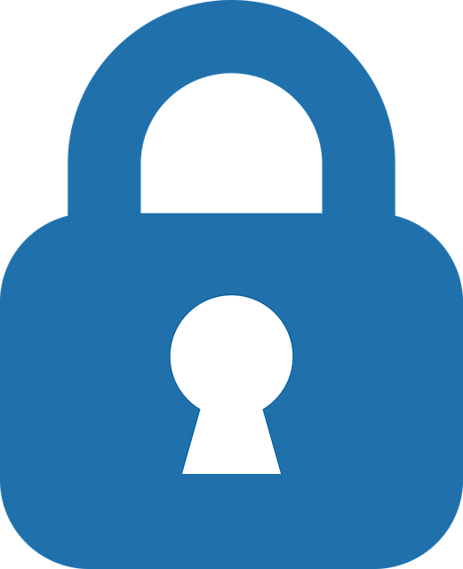 Pagina 2 - 100+ gratis Privacy- en Veiligheid-vectorafbeeldingen - Pixabay