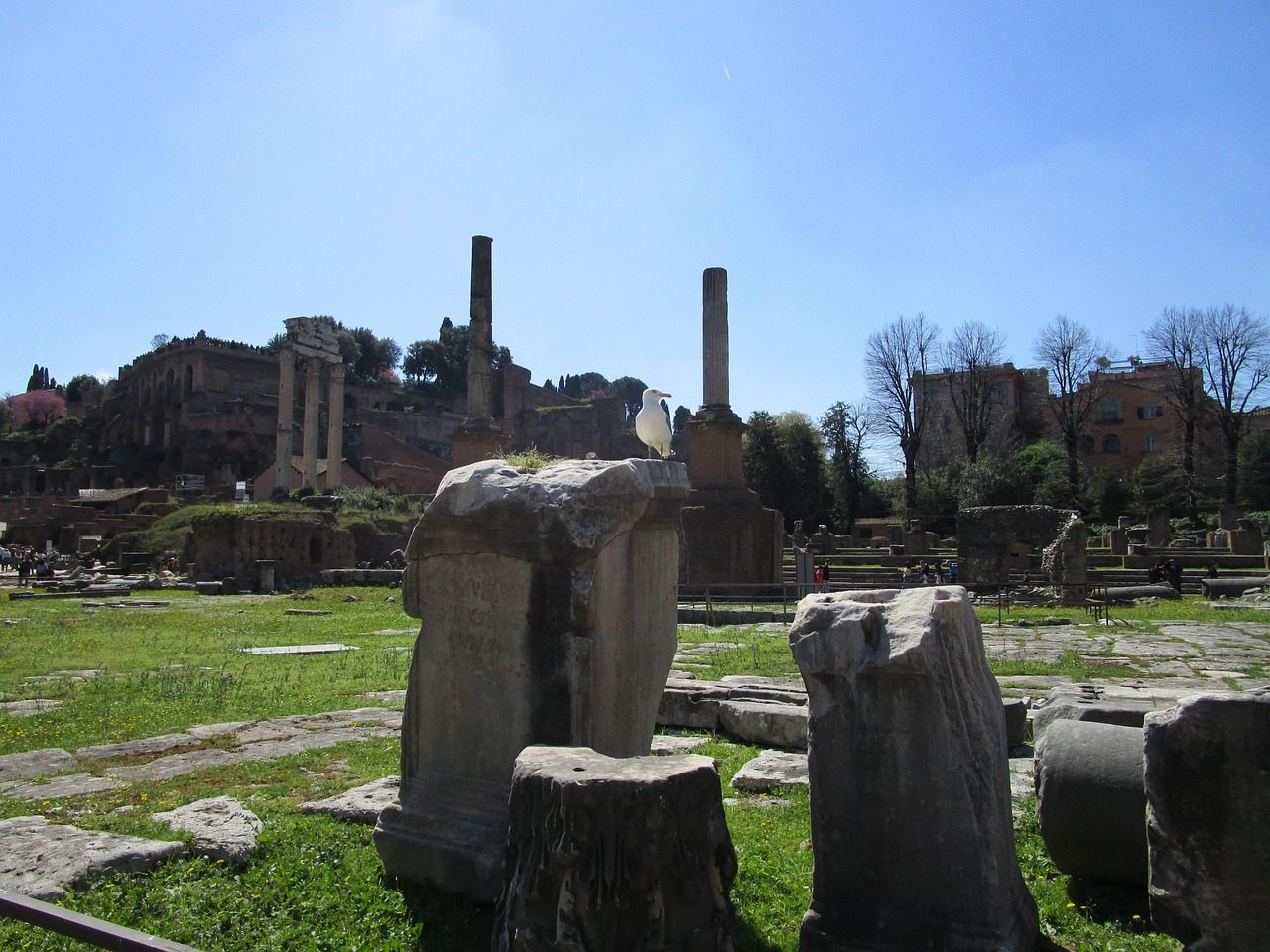 Roma Ruinas Historia - Foto gratis en Pixabay - Pixabay