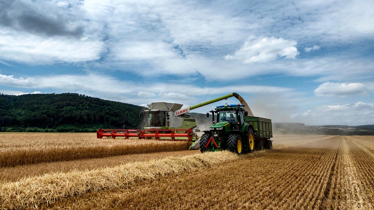 Wheat Field Grain Harvest - Free photo on Pixabay - Pixabay