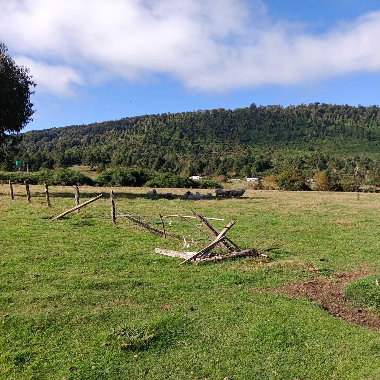 Nature Field - Free photo on Pixabay - Pixabay