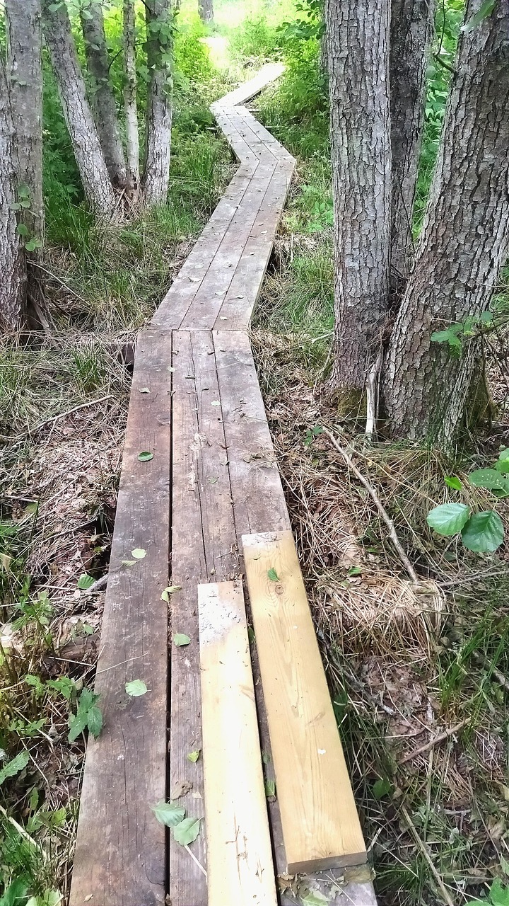 Fußgängerbrücke Wald Eng Der - Kostenloses Foto auf Pixabay - Pixabay