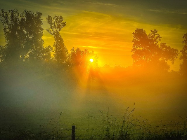 Sun Sunset Summer Free Photo On Pixabay Pixabay