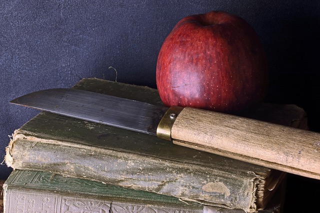 Red Apple Paring Knife Wooden - Free photo on Pixabay - Pixabay