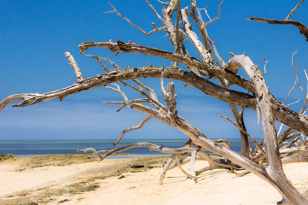 Mojones Sol Playa Cielo Azul Arena - Foto gratis en Pixabay - Pixabay