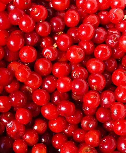 Cereza Baya Rojo - Foto gratis en Pixabay - Pixabay