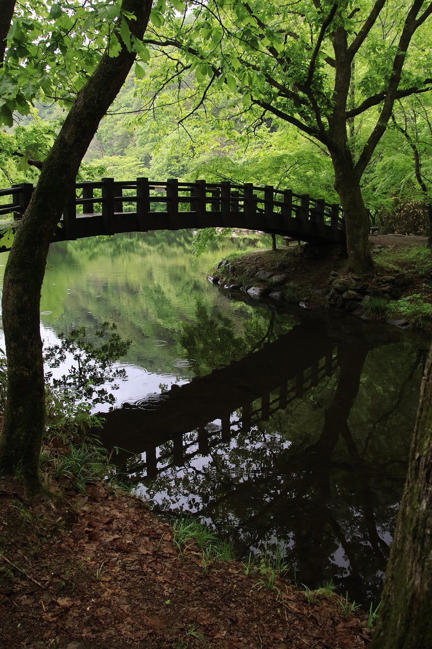 Brug Natuur - Gratis foto op Pixabay - Pixabay