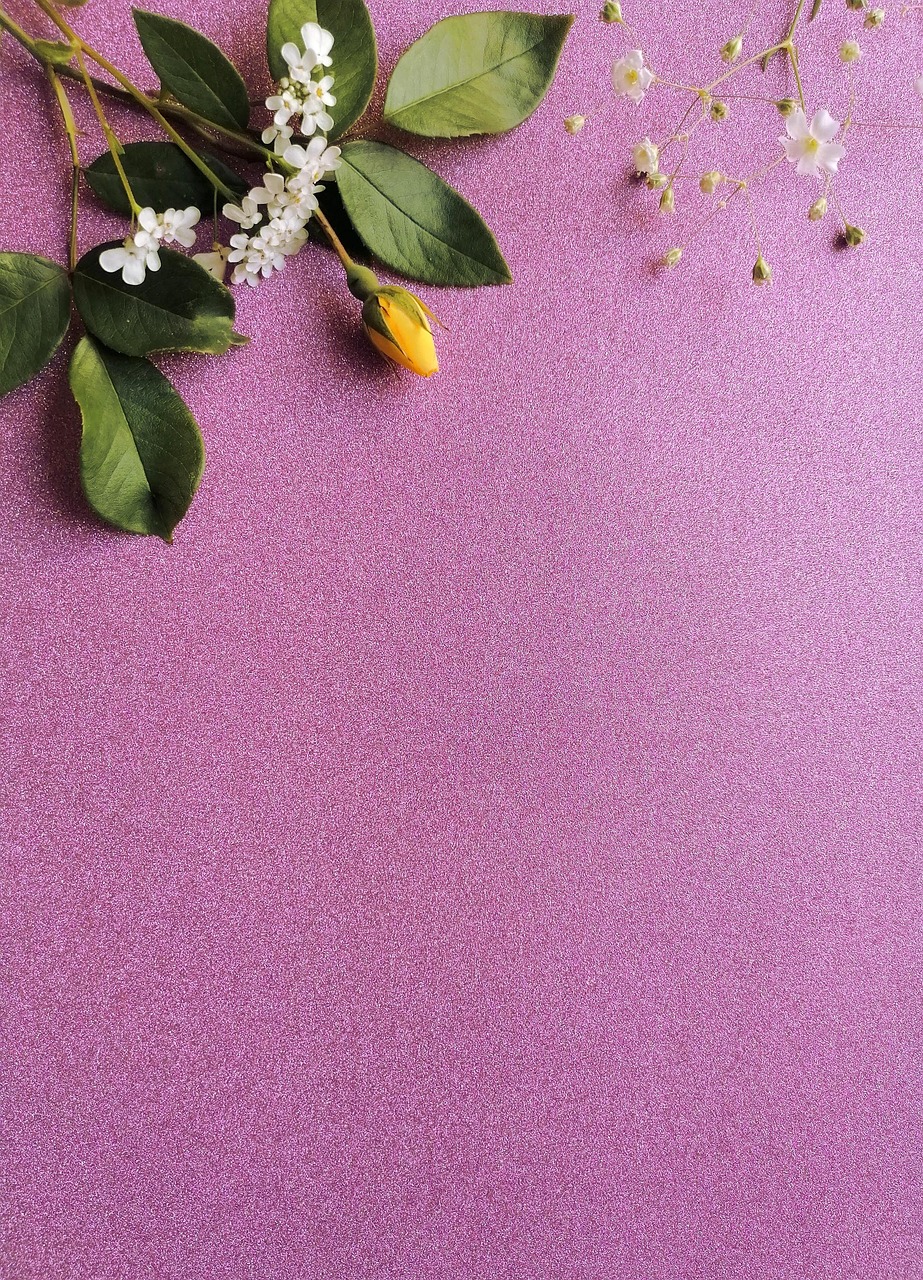 Magenta Background Flora - Free photo on Pixabay