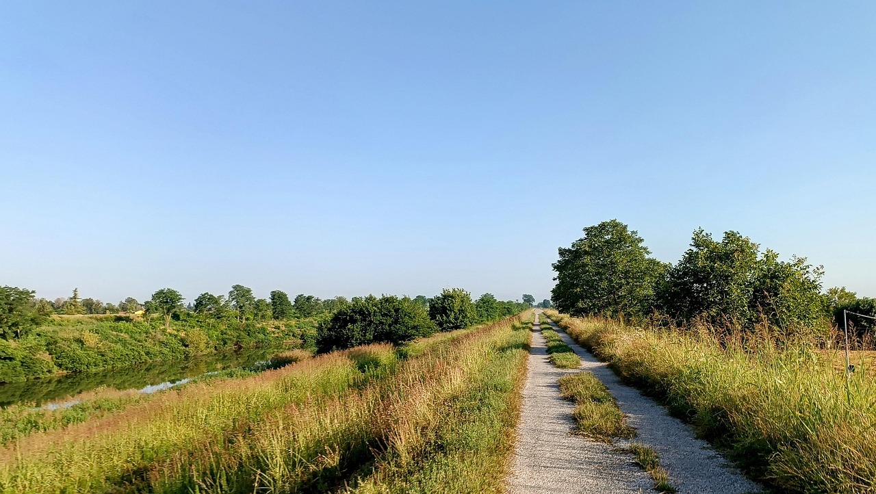 Trail Nature Landscape - Free photo on Pixabay - Pixabay