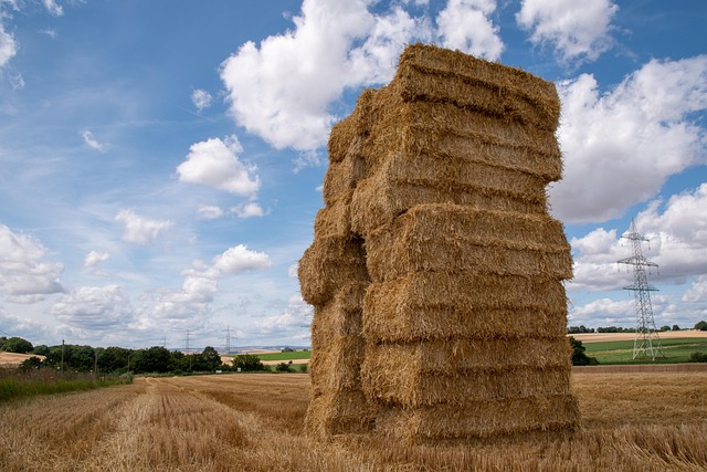 Hay Bales Straw Stack - Free photo on Pixabay - Pixabay