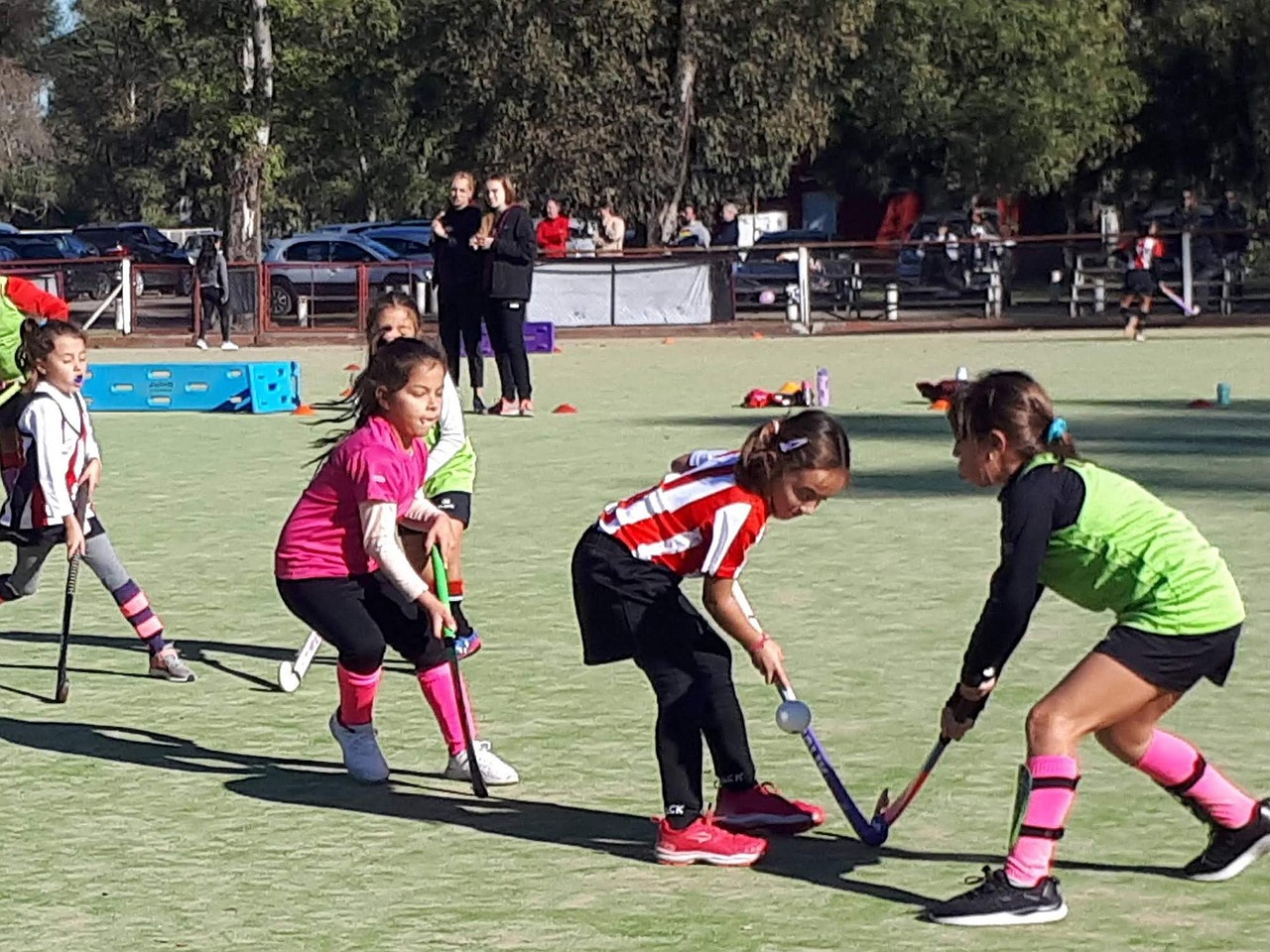 Child Sport Hockey Feminine Sports - Free photo on Pixabay - Pixabay