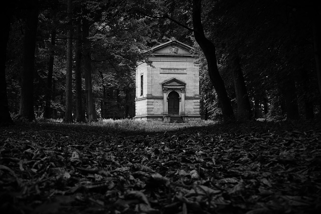 Tumba Oscuro Horror - Foto gratis en Pixabay - Pixabay